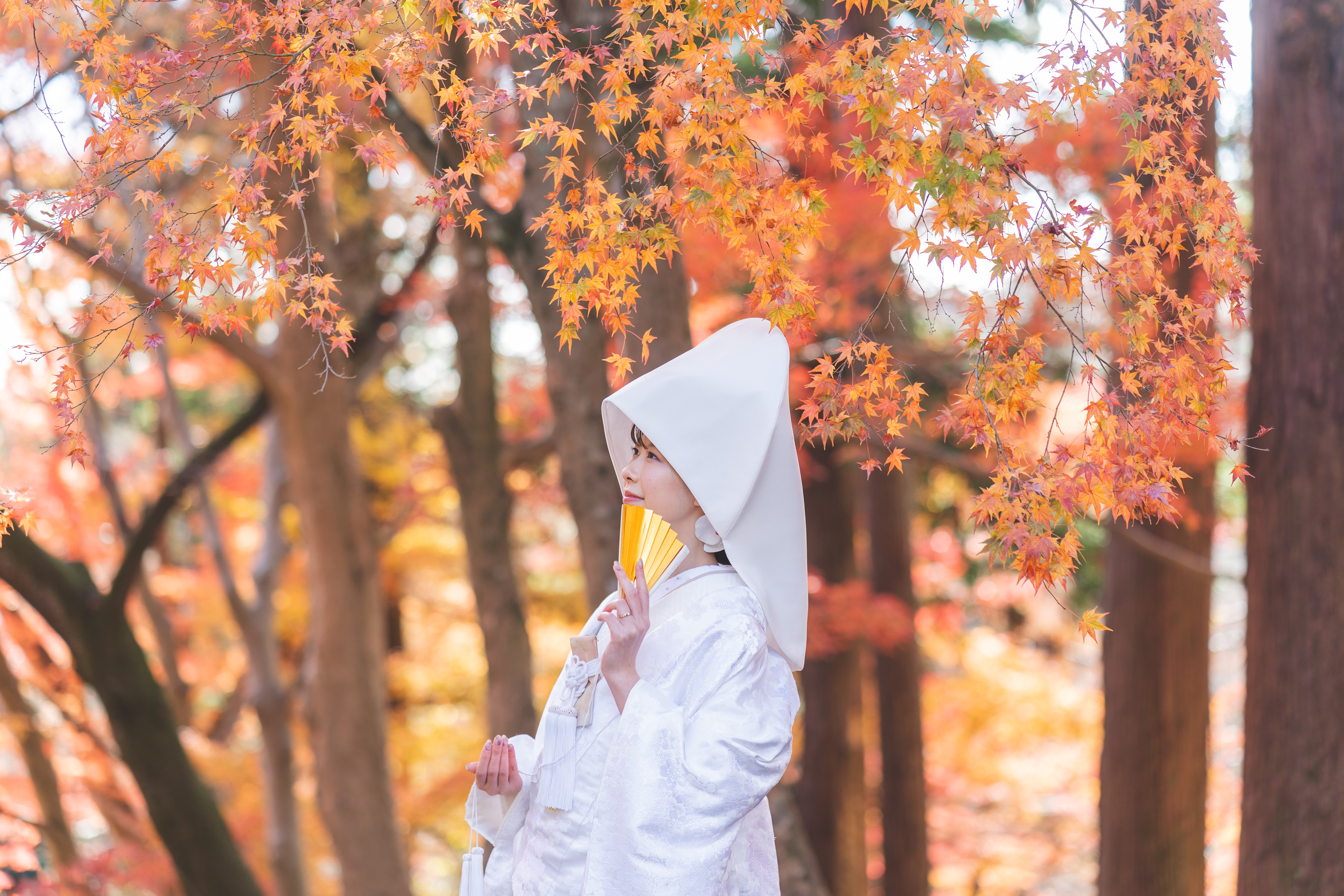 LICIAN―スタジオリシアン―のスタッフブログ(紅葉キャンペーン和装1着プランのご紹介)【Photorait】