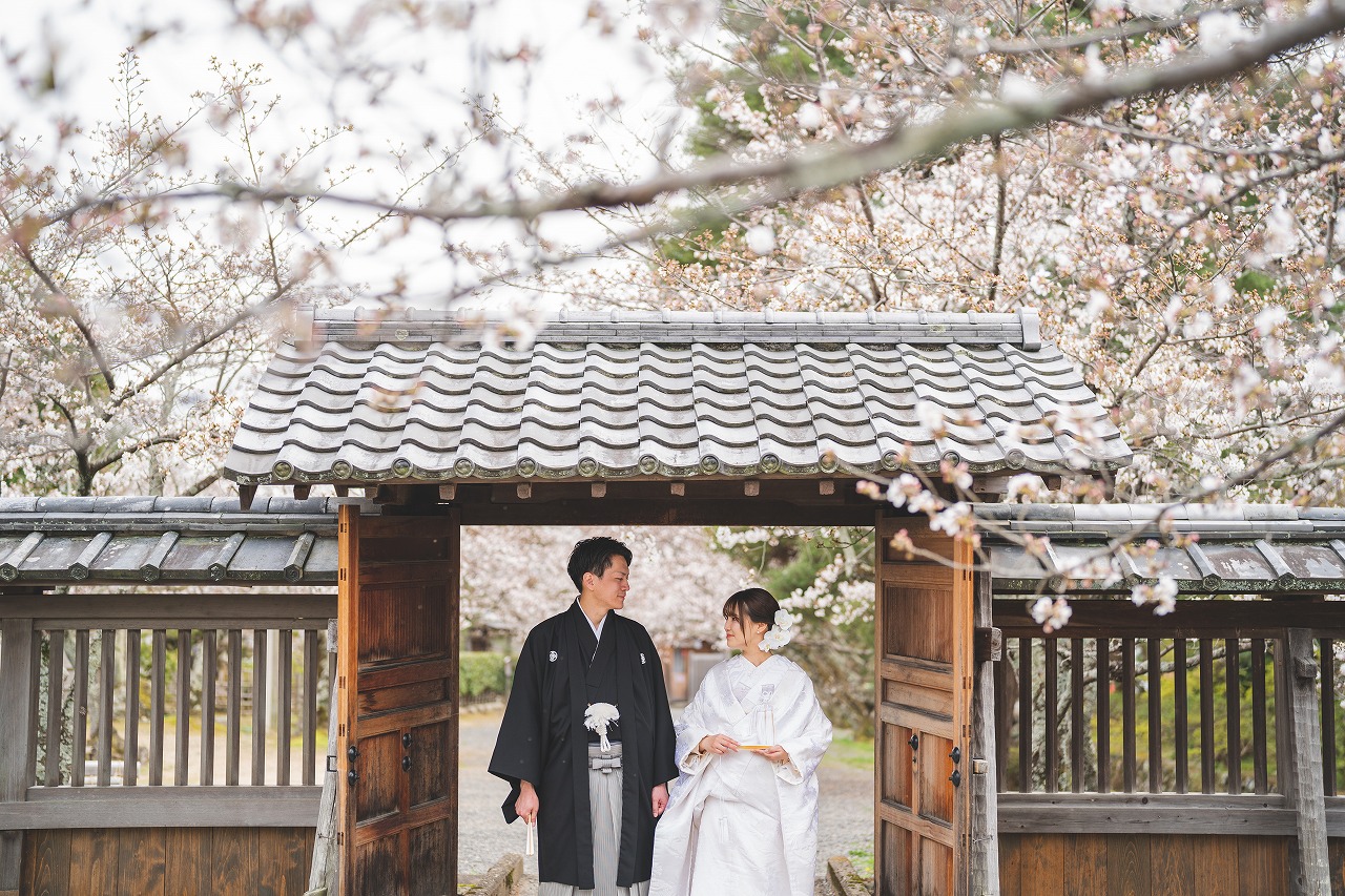 LICIAN―スタジオリシアン―のスタッフブログ(桜シーズン★綺麗なロケーション地ご紹介【大覚寺】)【Photorait】