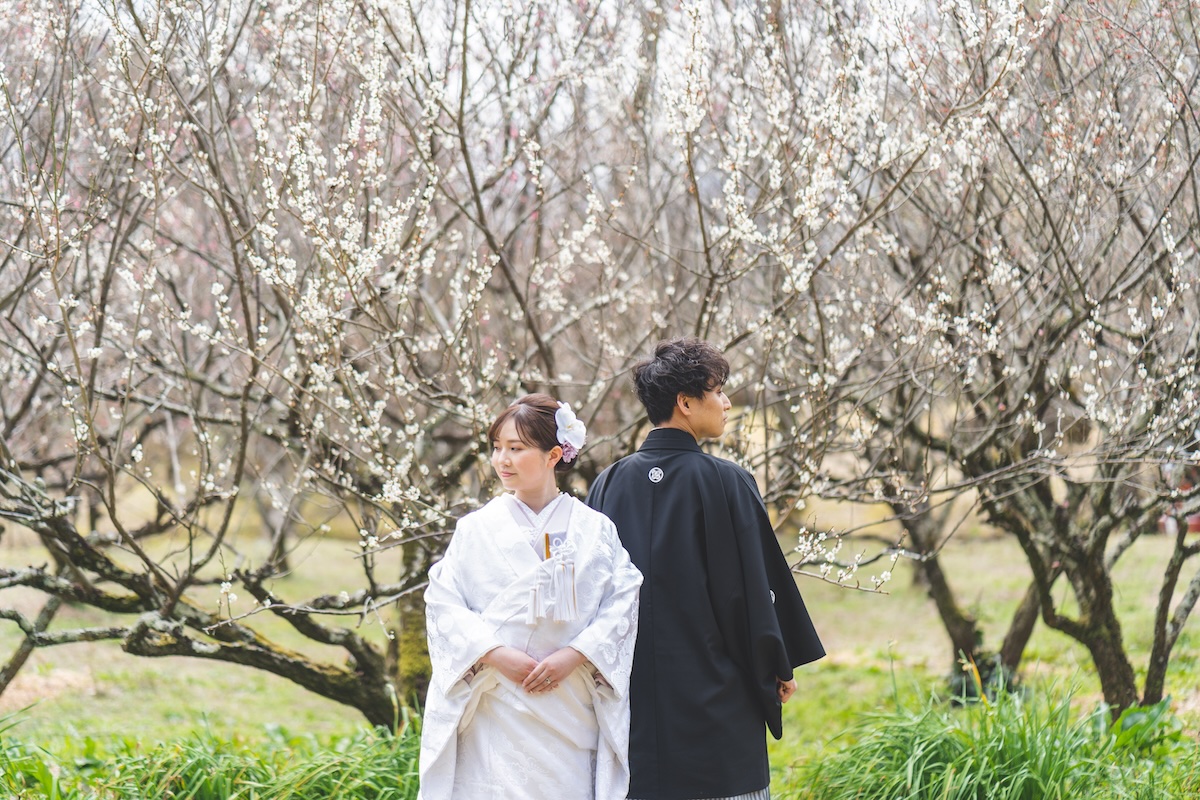 LICIAN―スタジオリシアン―のスタッフブログ( 梅の花と撮れるロケ地 紹介【大覚寺】)【Photorait】