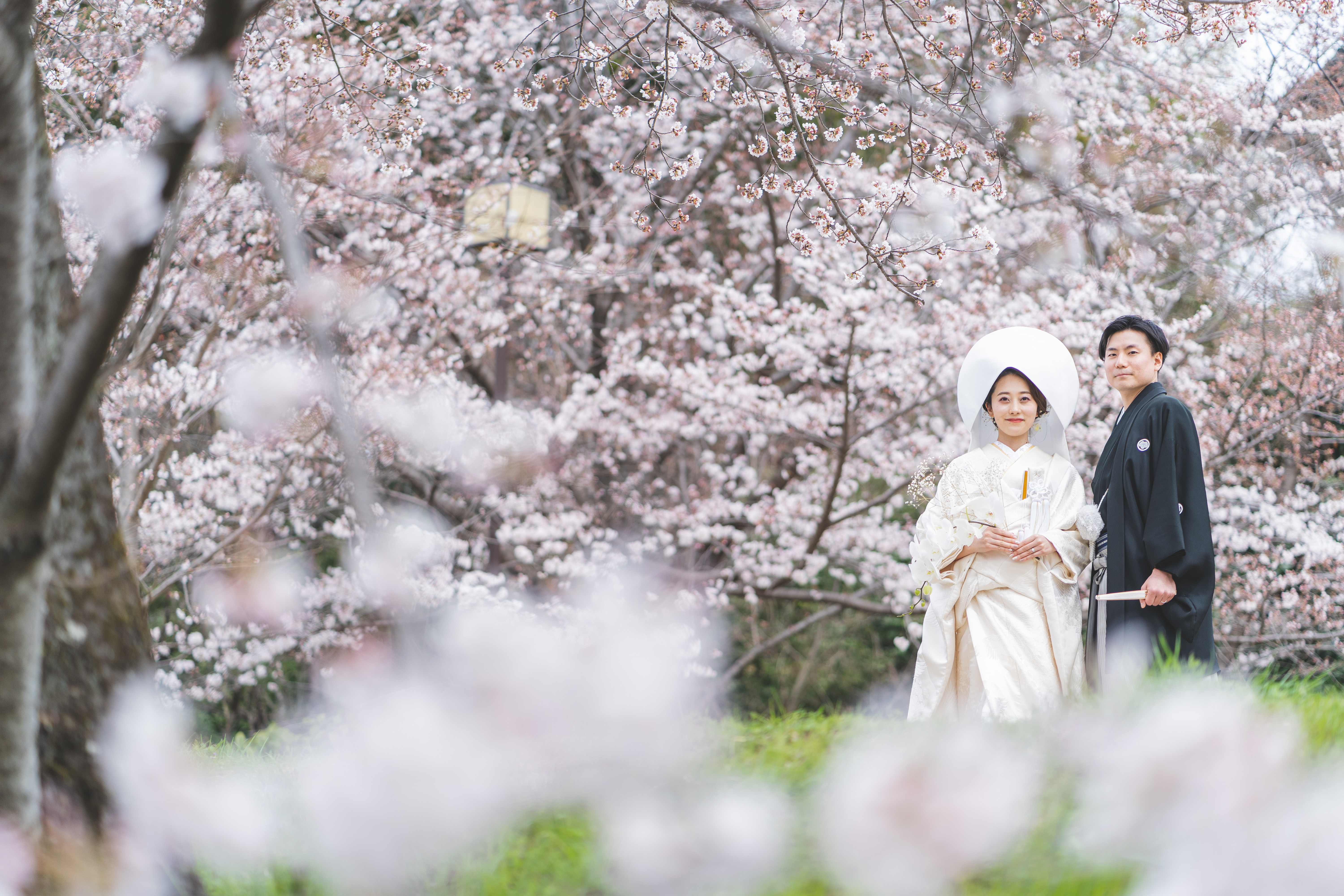 LICIAN―スタジオリシアン―のスタッフブログ(桜シーズン★素敵なオプションが誕生！！)【Photorait】