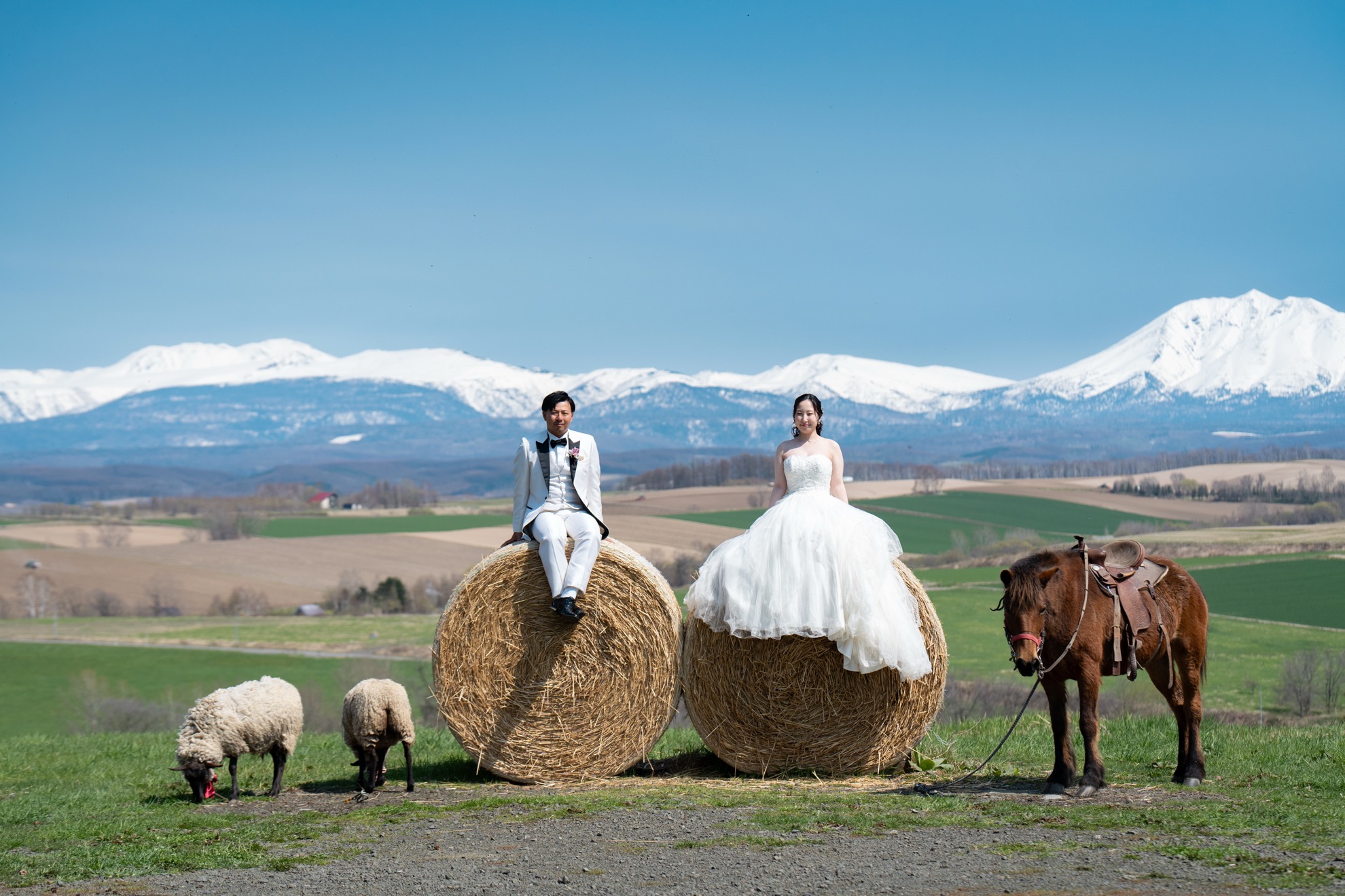 STUDIO SOLA 美瑛店（スタジオSOLA）のスタッフブログ(2025年夏季営業、始まってます！)【Photorait】